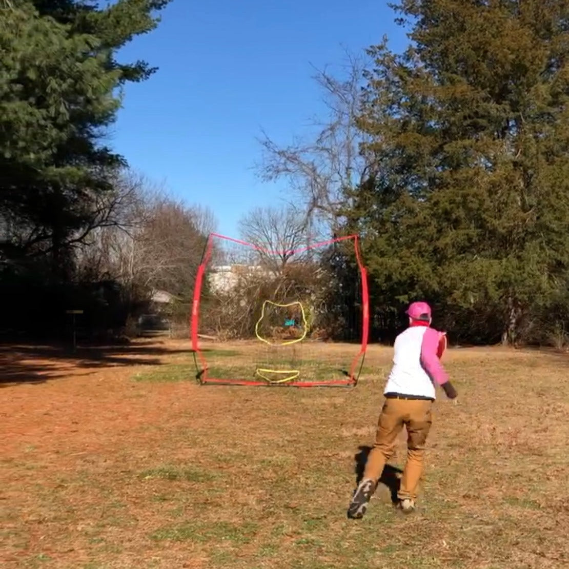 10x10 Disc Golf Net – Visionary Disc Golf